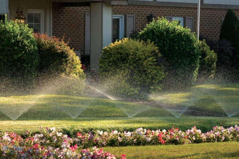 Home - Integrity Landscapes LLC